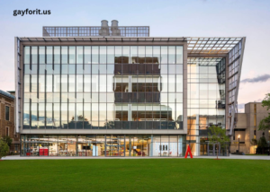 Gayforit - A Deep Dive Into User Experience And Content Quality - GAYFORIT